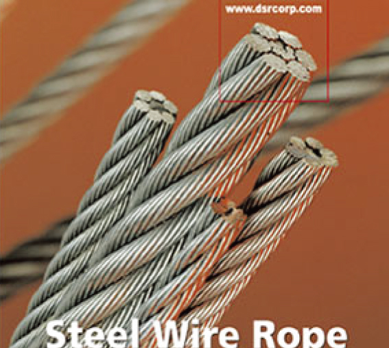 PowerMax Rope/Powerflex Rope – Korean-Electronics.com