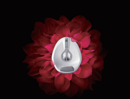 Inner Sexual Device – Korean-Electronics.com